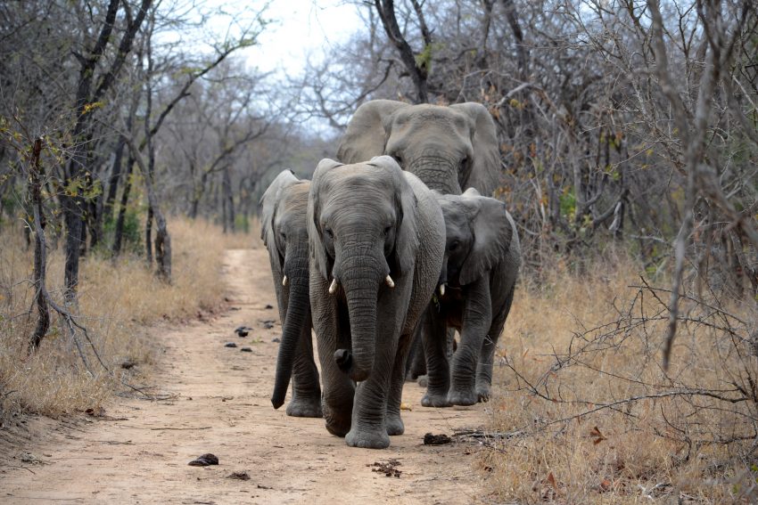 How To Budget Your Holiday In South Africa The Budget Your Trip Blog
