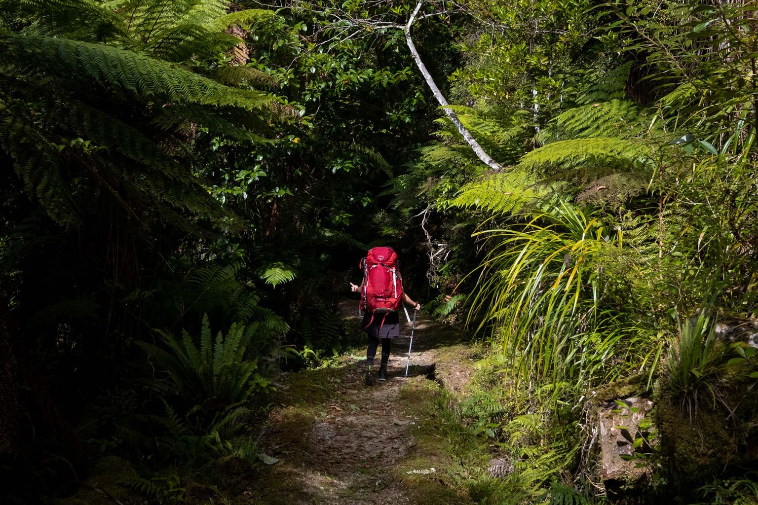A Complete Guide to New Zealand’s Great Walks | The Budget Your Trip Blog