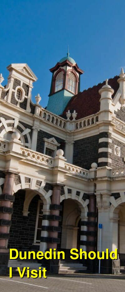 Is Dunedin Worth Visiting? 7 Reasons You Should Visit | Budget Your Trip