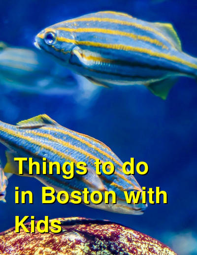 The Best Things To Do in Boston with Kids
