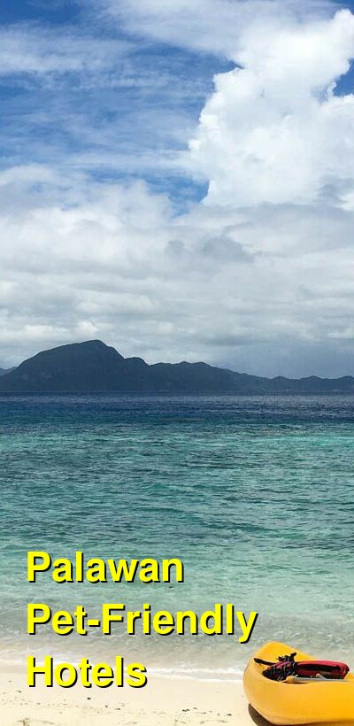 The 6 Best Pet-Friendly Hotels in Palawan: Dog-Friendly Places to Stay ...