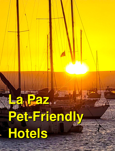 The 10 Best Pet-Friendly Hotels in La Paz, Mexico: Dog-Friendly Places ...
