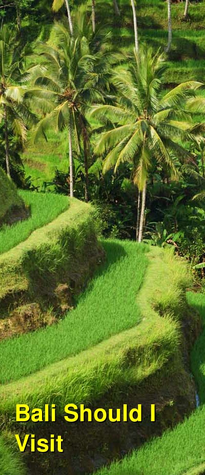 Is Bali Worth Visiting? 8 Reasons You Should Visit | Budget Your Trip