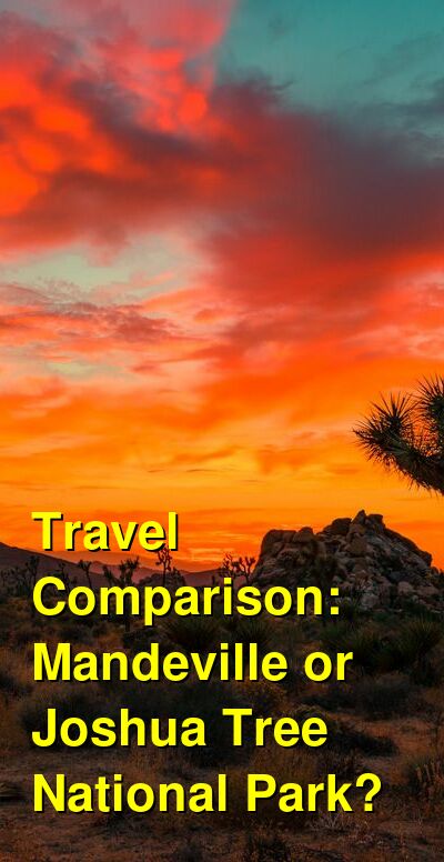 Should I Visit Mandeville or Joshua Tree National Park for Vacation ...