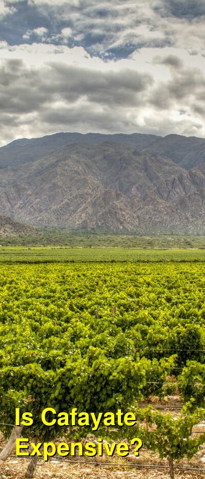 Is Cafayate Expensive to Visit? | Budget Your Trip