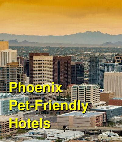 The 10 Best Pet-Friendly Hotels in Phoenix, Arizona: Dog-Friendly ...