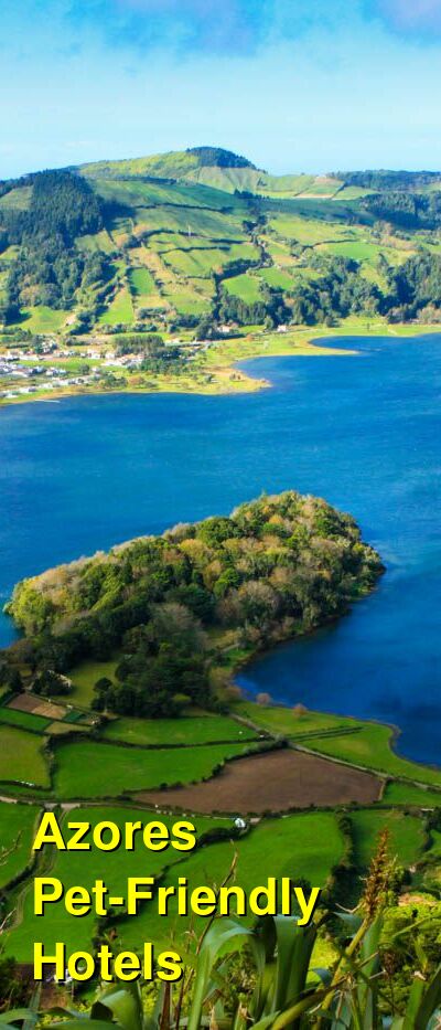 The 10 Best Pet-Friendly Hotels in Azores: Dog-Friendly Places to Stay ...