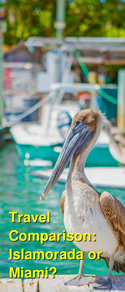 Should I Visit Islamorada or Miami? Which is Better for Food, Nightlife ...