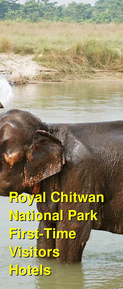 The 10 Best Hotels for First Time Visitors in Royal Chitwan National ...