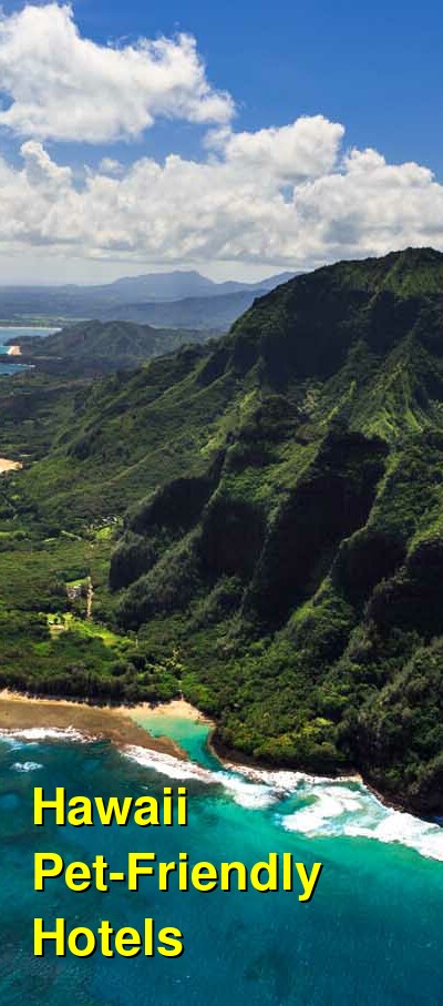 The 10 Best Pet-Friendly Hotels in Hawaii: Dog-Friendly Places to Stay ...