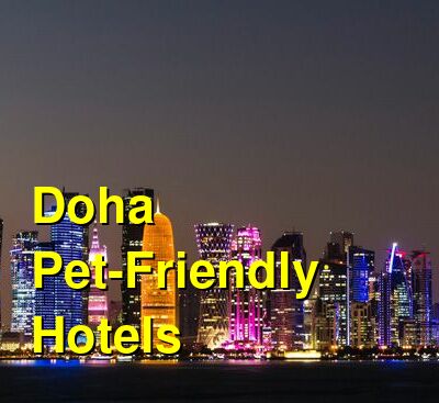 The 5 Best Pet-Friendly Hotels in Doha, Qatar: Dog-Friendly Places to ...