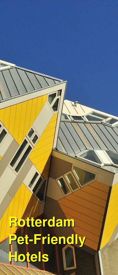 The 10 Best Pet-Friendly Hotels in Rotterdam, Netherlands: Dog-Friendly ...