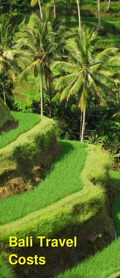 Bali Travel Cost Average Price Of A Vacation To Bali Food Meal Bali Travel Cost Average Price Of A Vacation To Bali Food Meal
