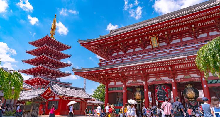 The Best Photography Tours in Japan | Budget Your Trip
